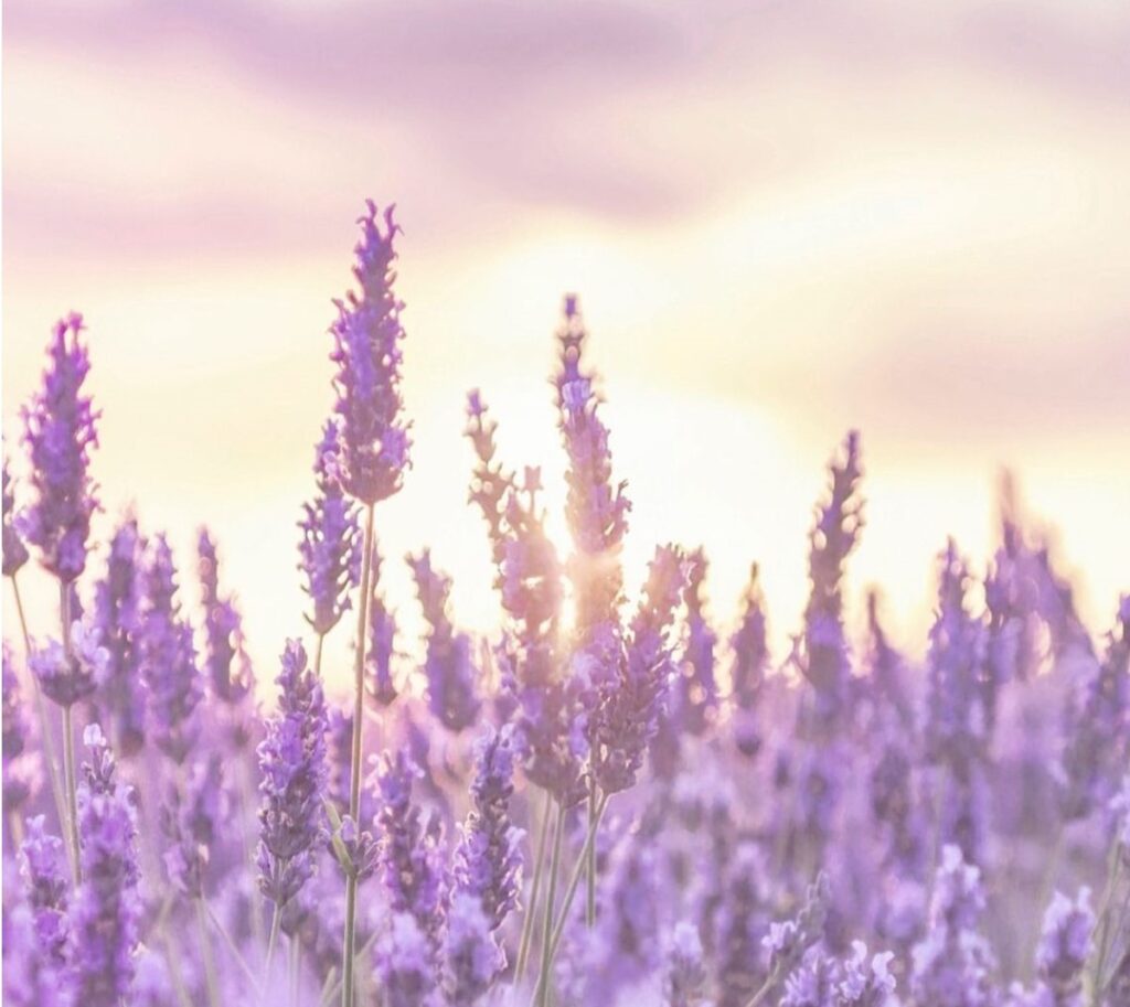 Felice Joyce – All of life comes to me with ease, joy and glory!